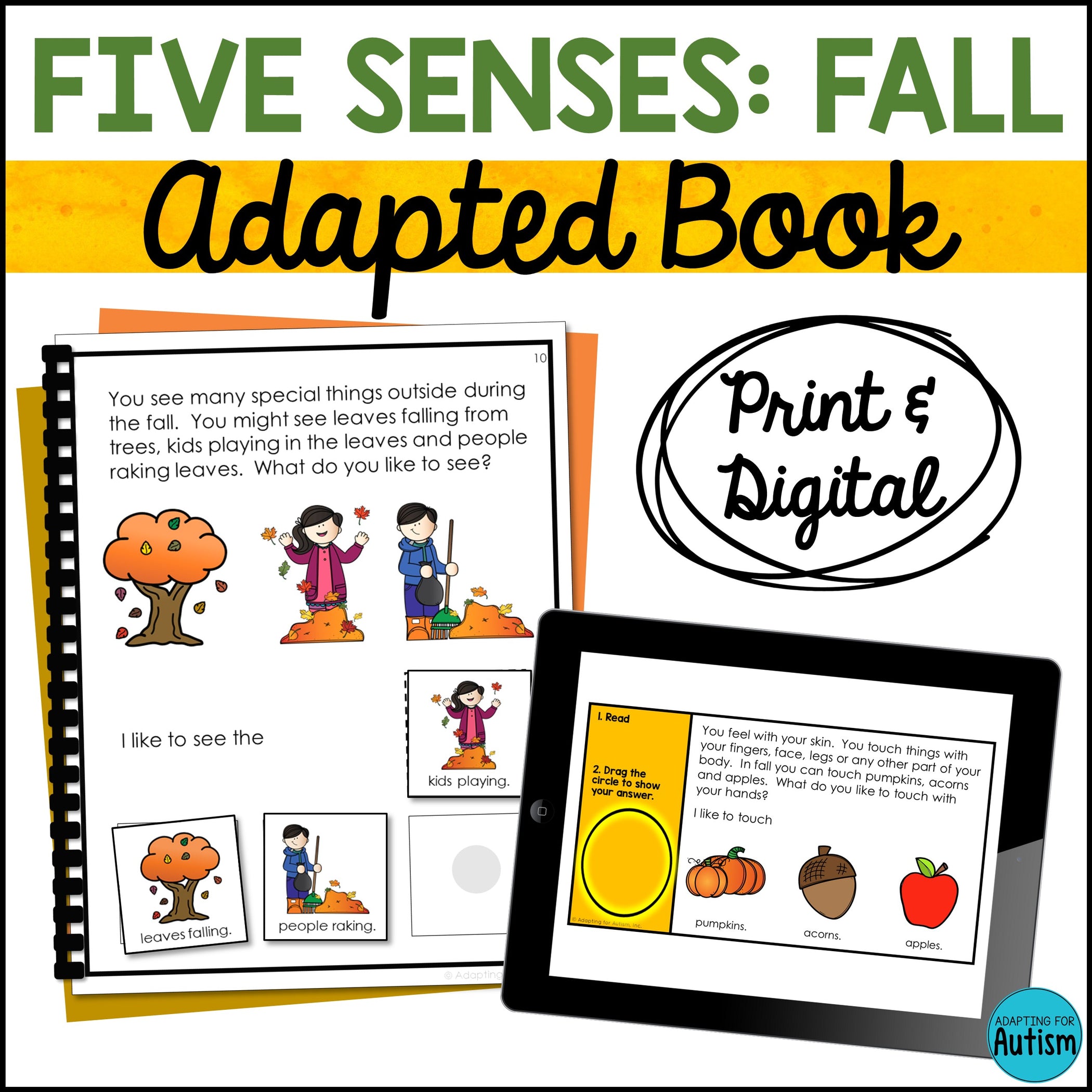 Fall Adapted Book: The 5 Senses – Autism Work Tasks